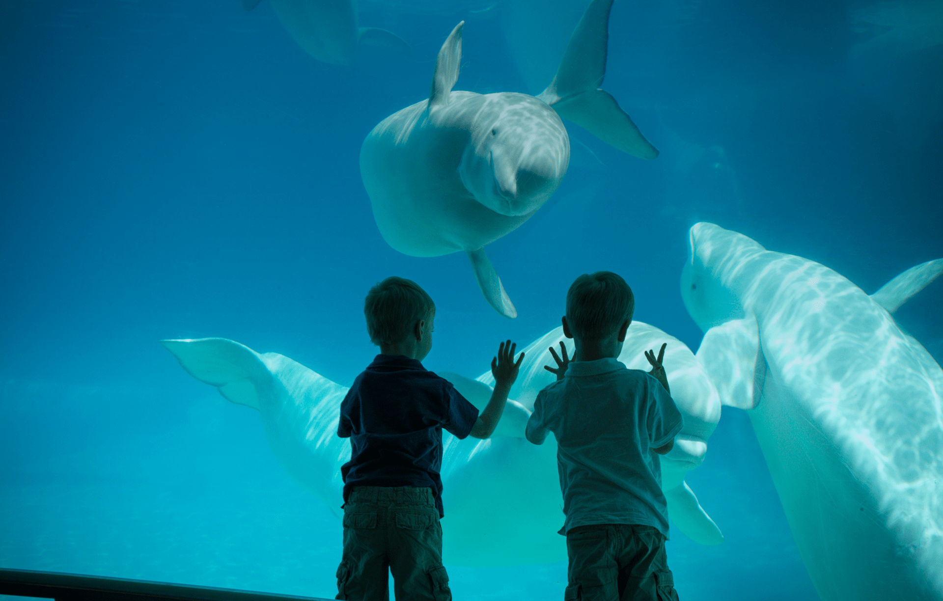 Marineland® Of Canada - Niagara Falls, Ontario, Canada